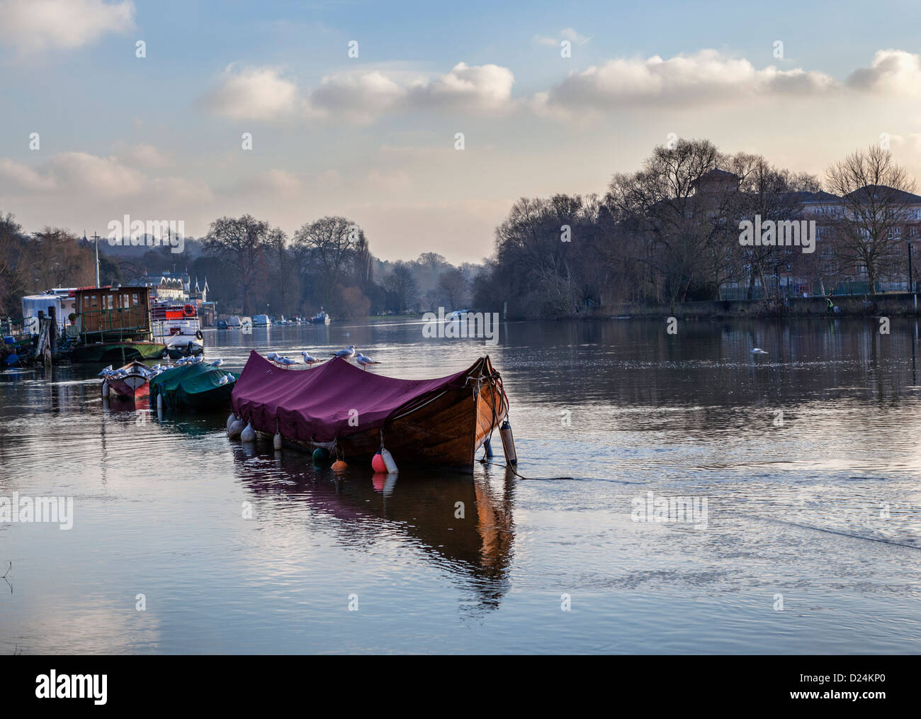 View of the Thames River from the Richmond riverside in Winter ...
