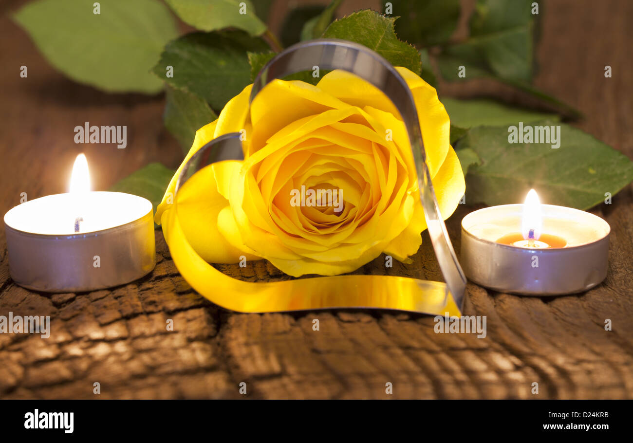 Congratulations with one rose hi-res stock photography and images - Alamy