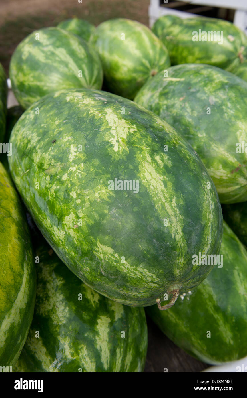 Variety of watermelon hi-res stock photography and images - Alamy