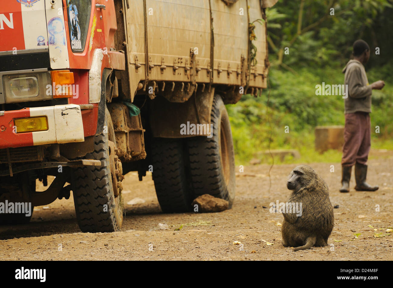 Food trucks africa hi-res stock photography and images - Alamy