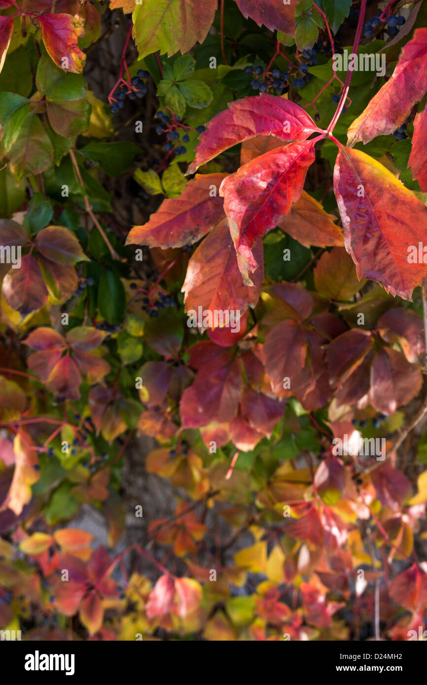 Fall of greece hi-res stock photography and images - Alamy