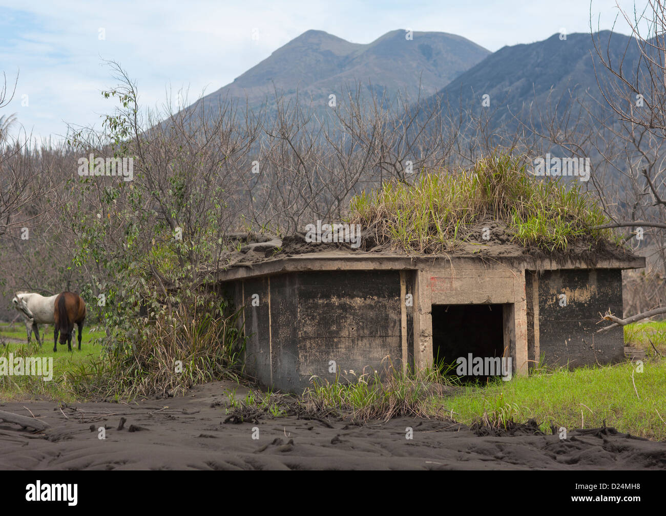 World War Two Bunker, Rabaul, New Britain Island, Papua New Guinea ...