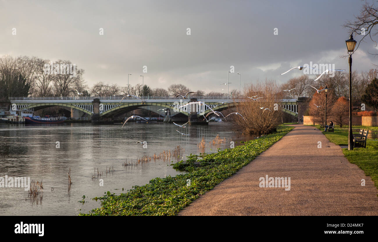 Banks of the richmond river hi-res stock photography and images - Alamy