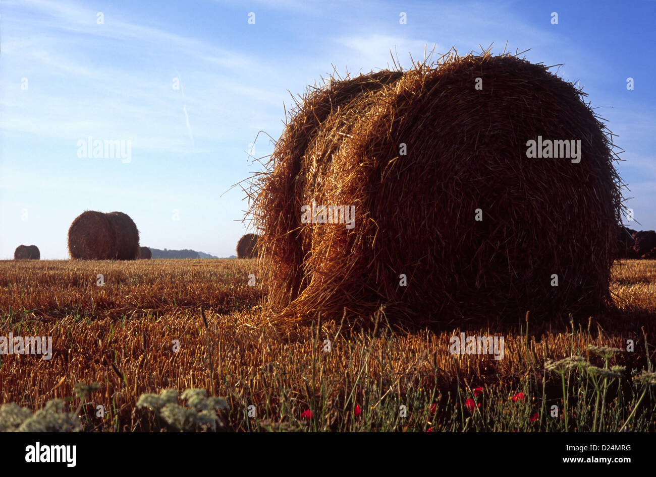 Rolled haybales hi-res stock photography and images - Alamy