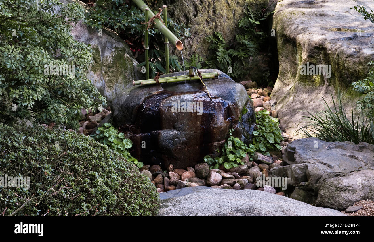 A stone tsukubai or water basin for ritual washing in the 20c gardens ...