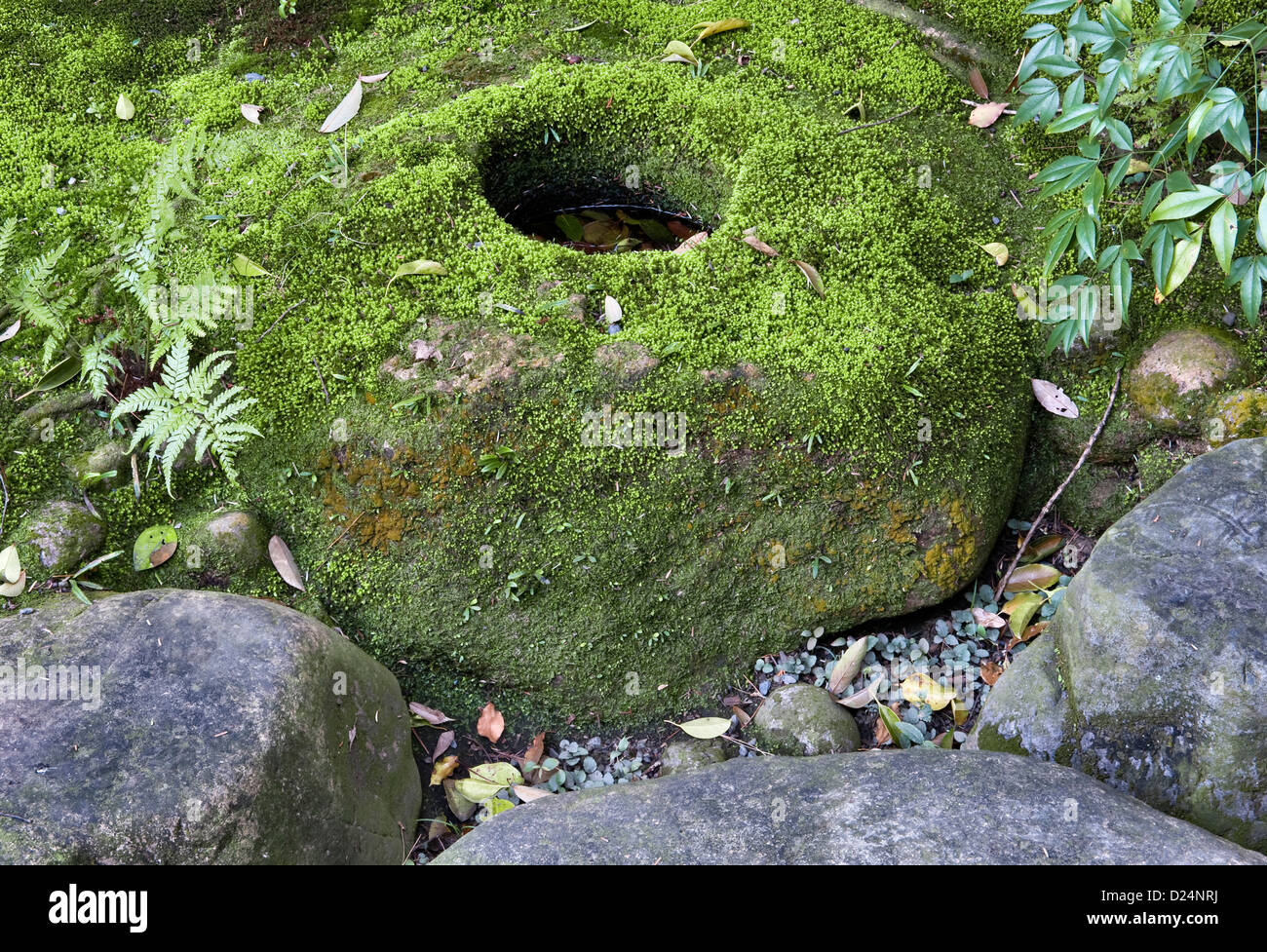 Murin an kyoto hi-res stock photography and images - Alamy