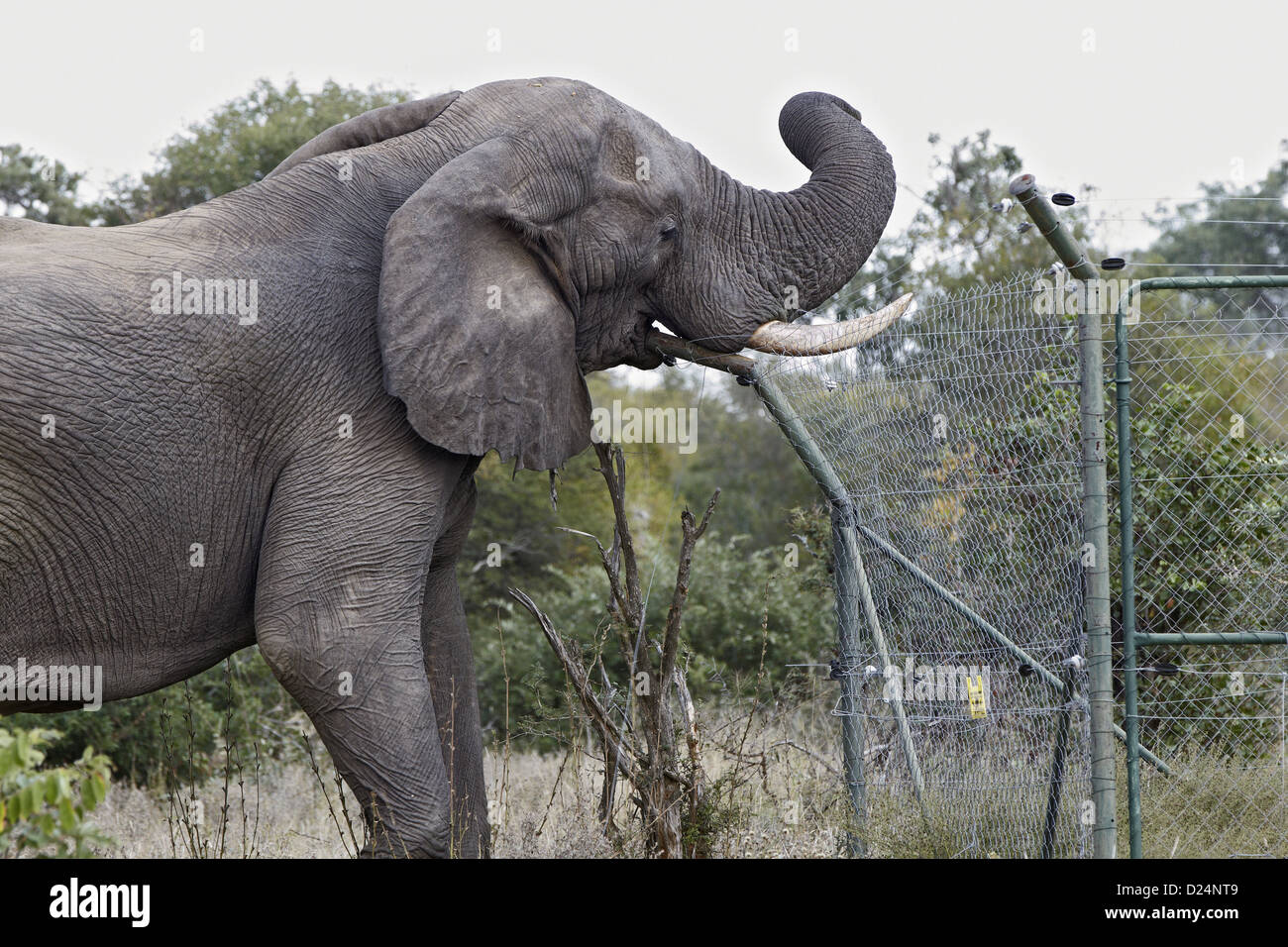 Damaging national parks hi-res stock photography and images - Alamy