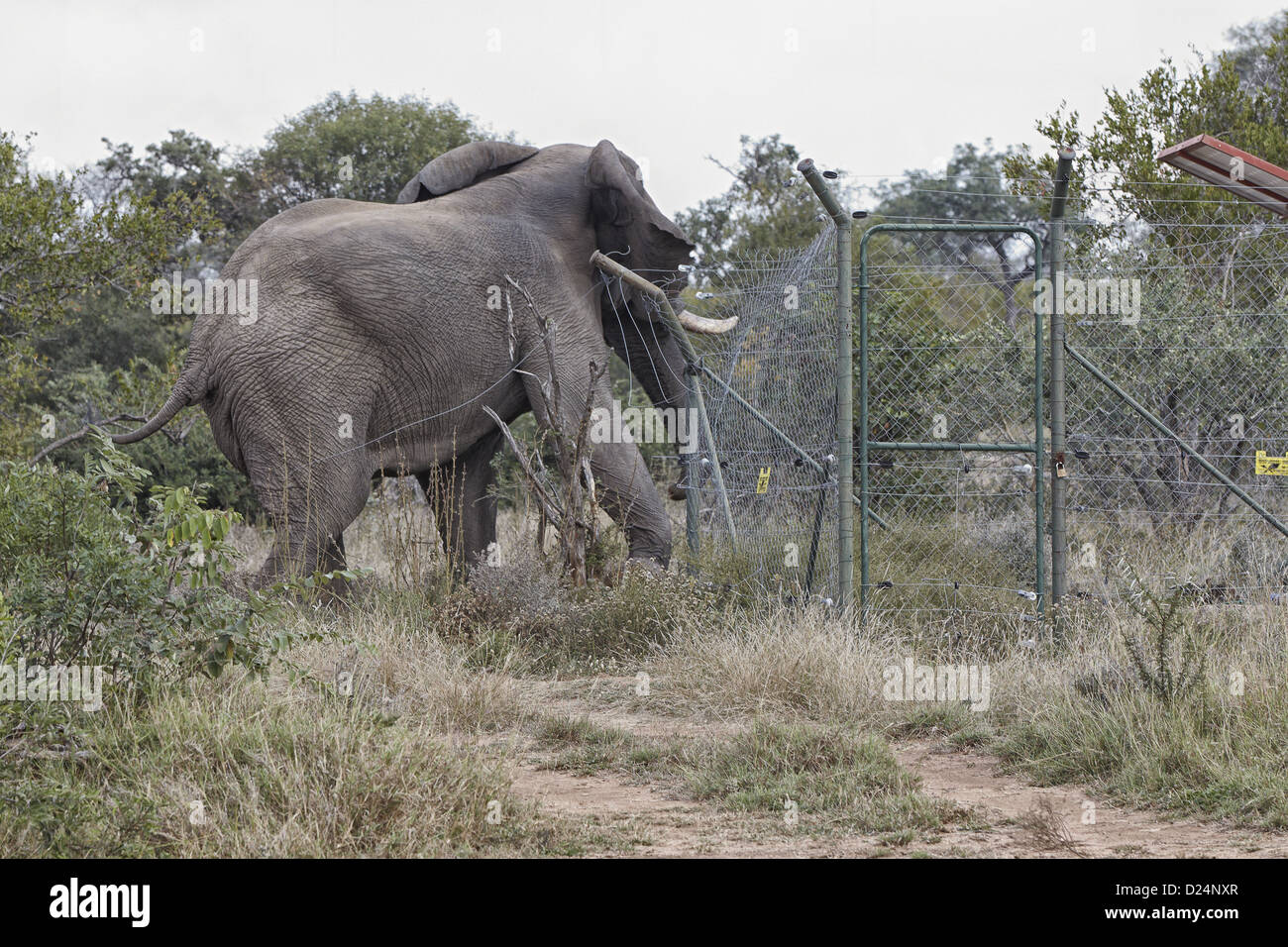 Damaging national parks hi-res stock photography and images - Alamy