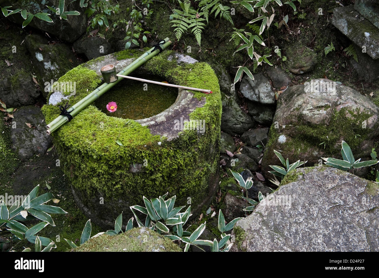 Koto in temple hi-res stock photography and images - Alamy