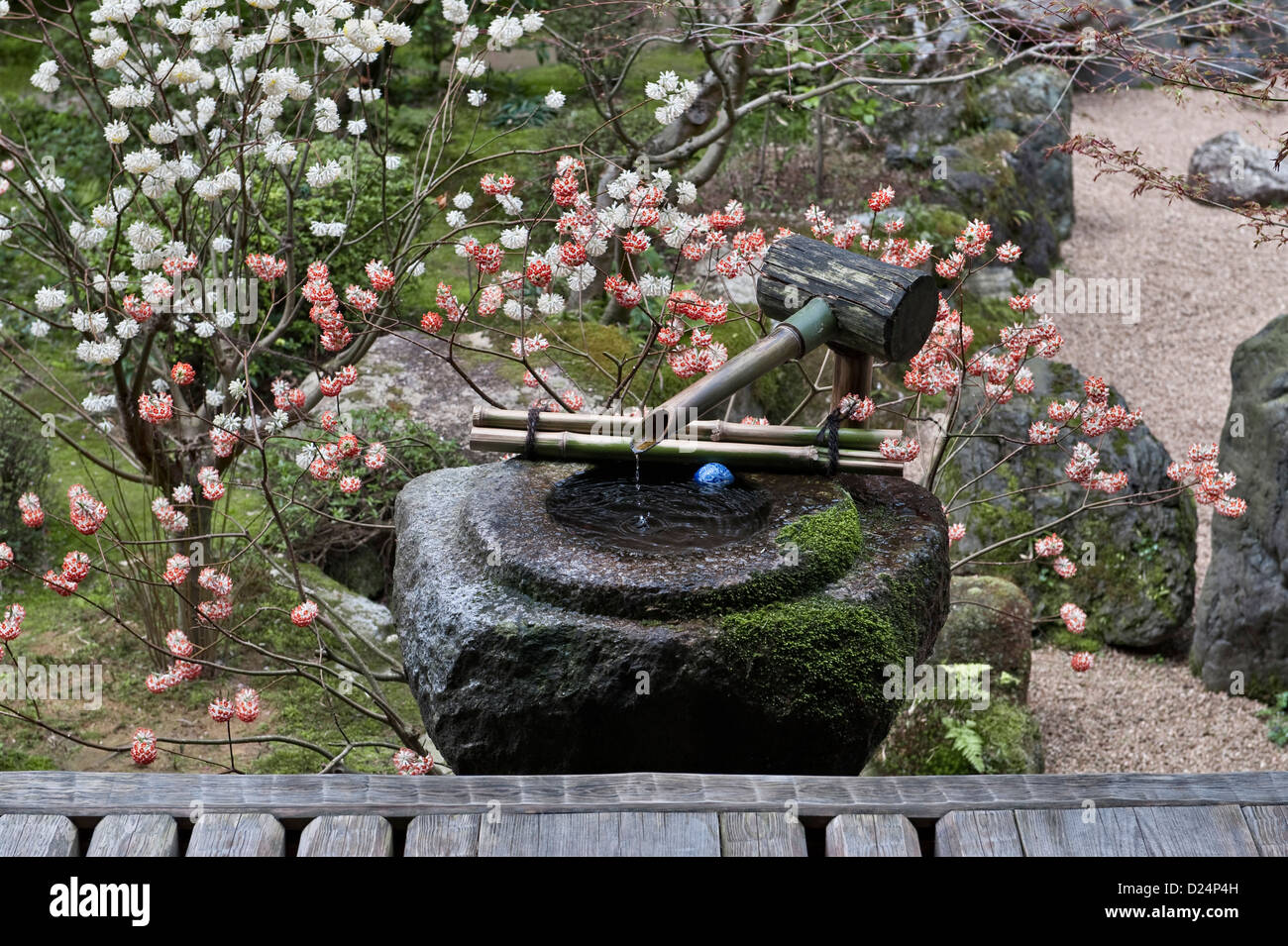 A stone tsukubai or water basin for ritual washing at the zen Buddhist ...
