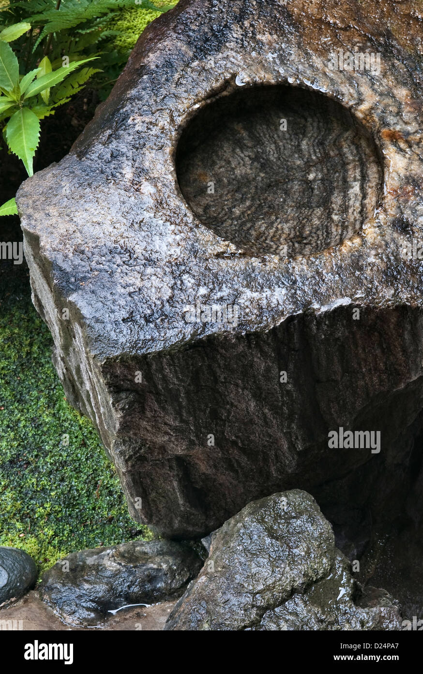 An old stone tsukubai or water basin for ritual washing or purification ...