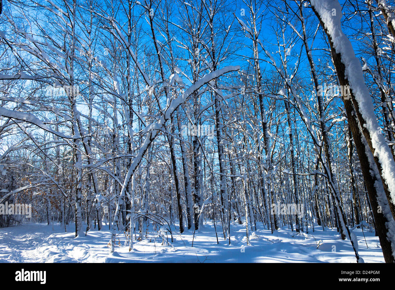 Beautiful winter scene Stock Photo - Alamy