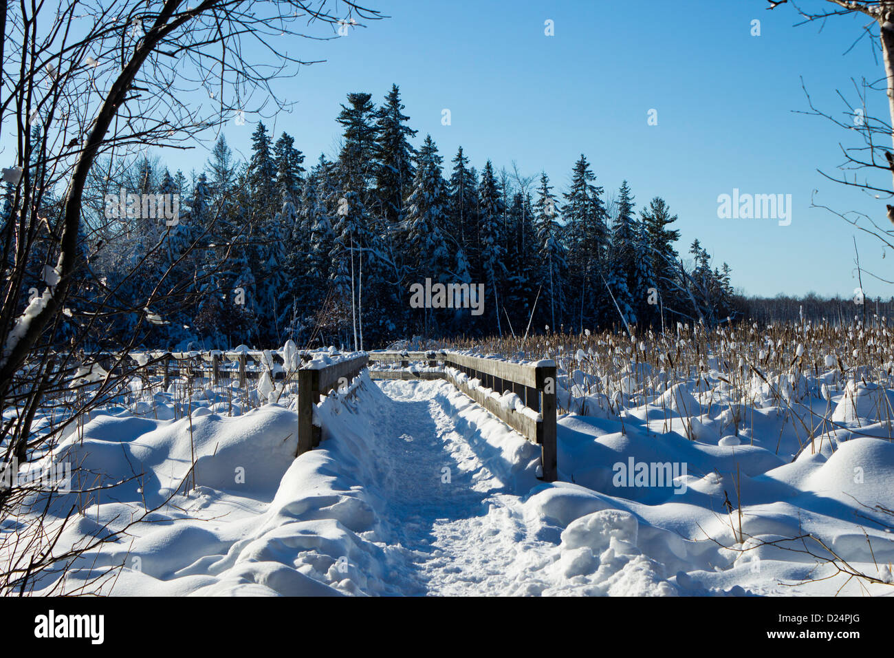 Beautiful winter scene Stock Photo - Alamy