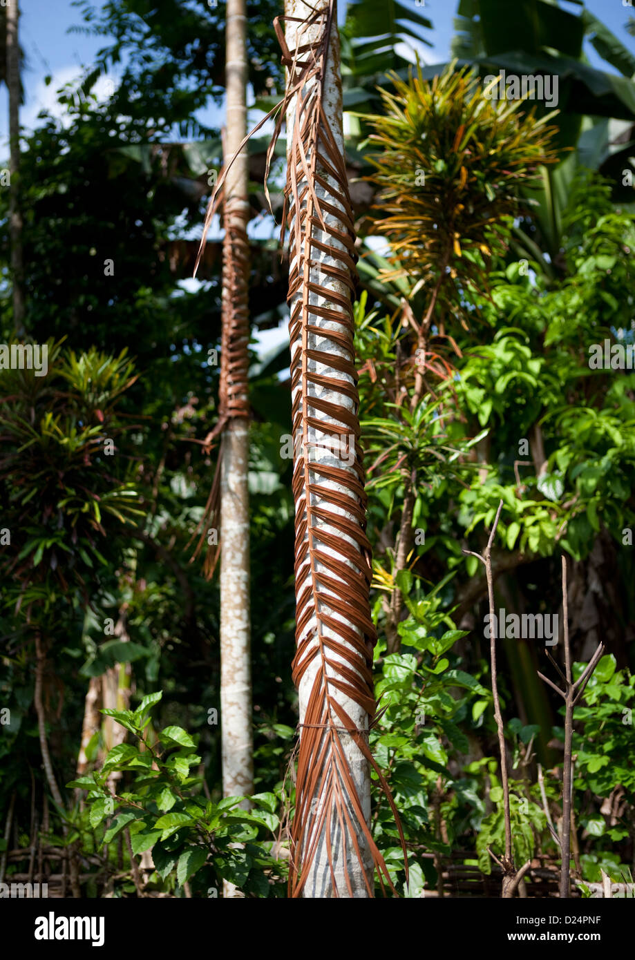Png3924 hi-res stock photography and images - Alamy