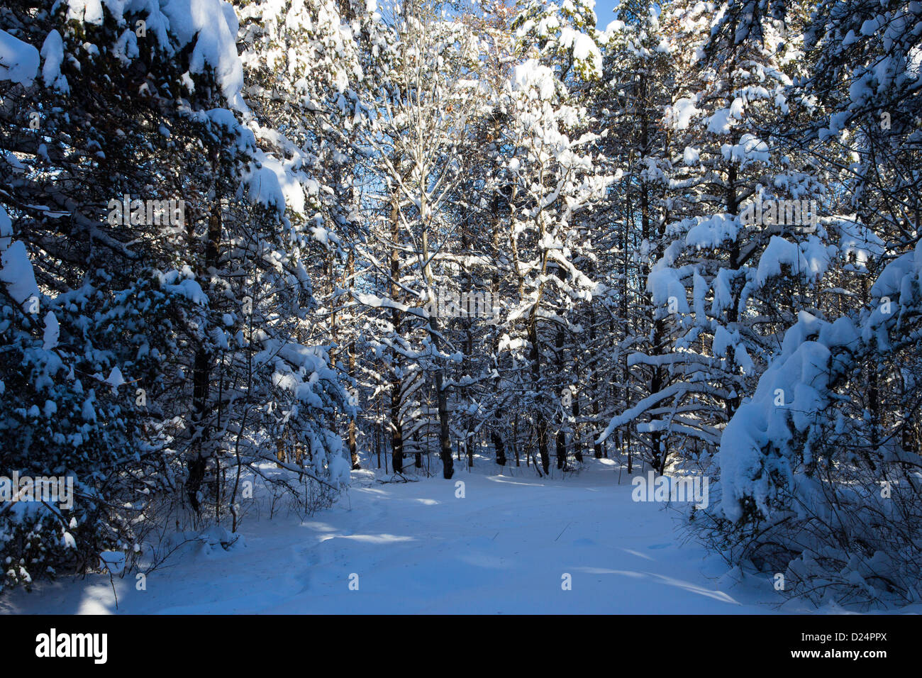 Beautiful winter scene Stock Photo - Alamy