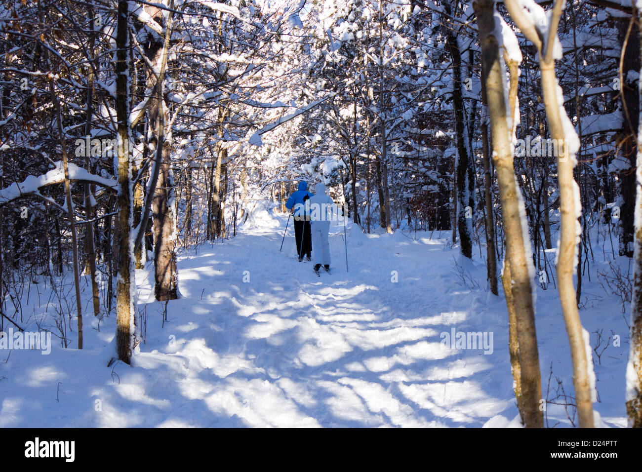 Cross in winter woods hi-res stock photography and images - Alamy