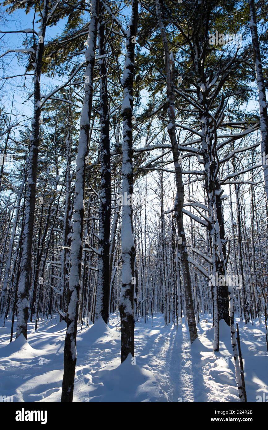 Beautiful winter scene Stock Photo - Alamy