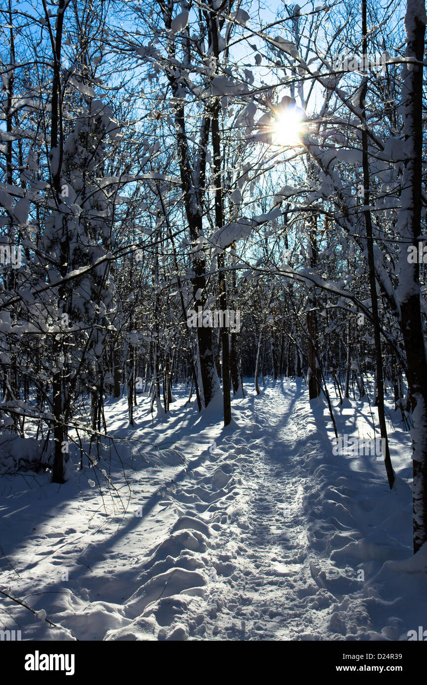 Beautiful winter scene Stock Photo - Alamy