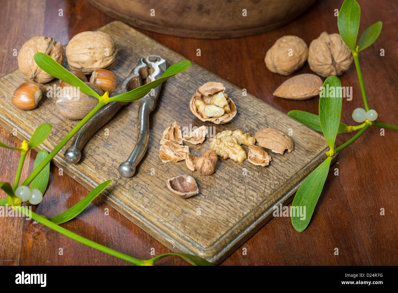 Tree with edible nuts hi-res stock photography and images - Alamy
