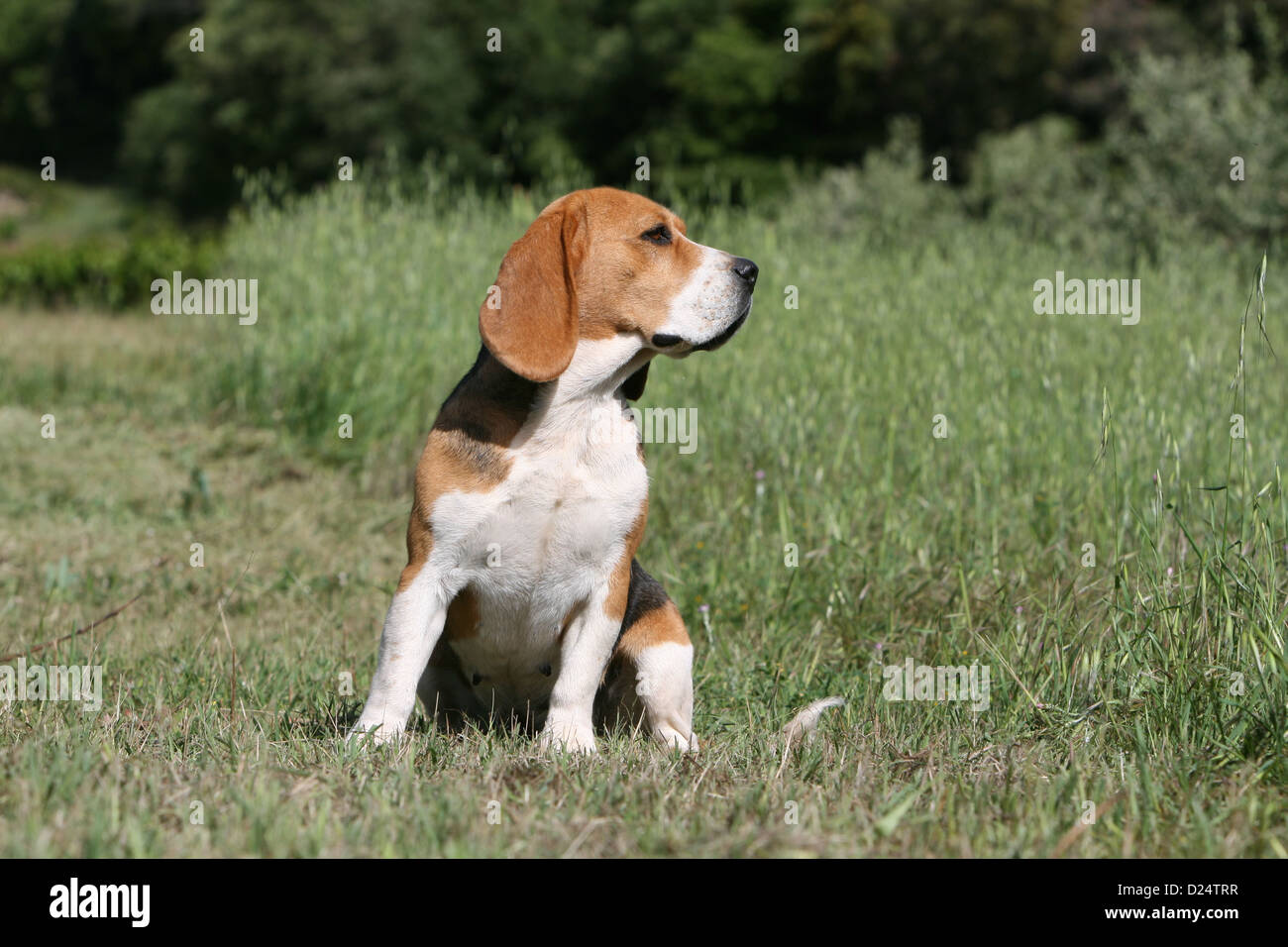 Adults sitting hi-res stock photography and images - Alamy