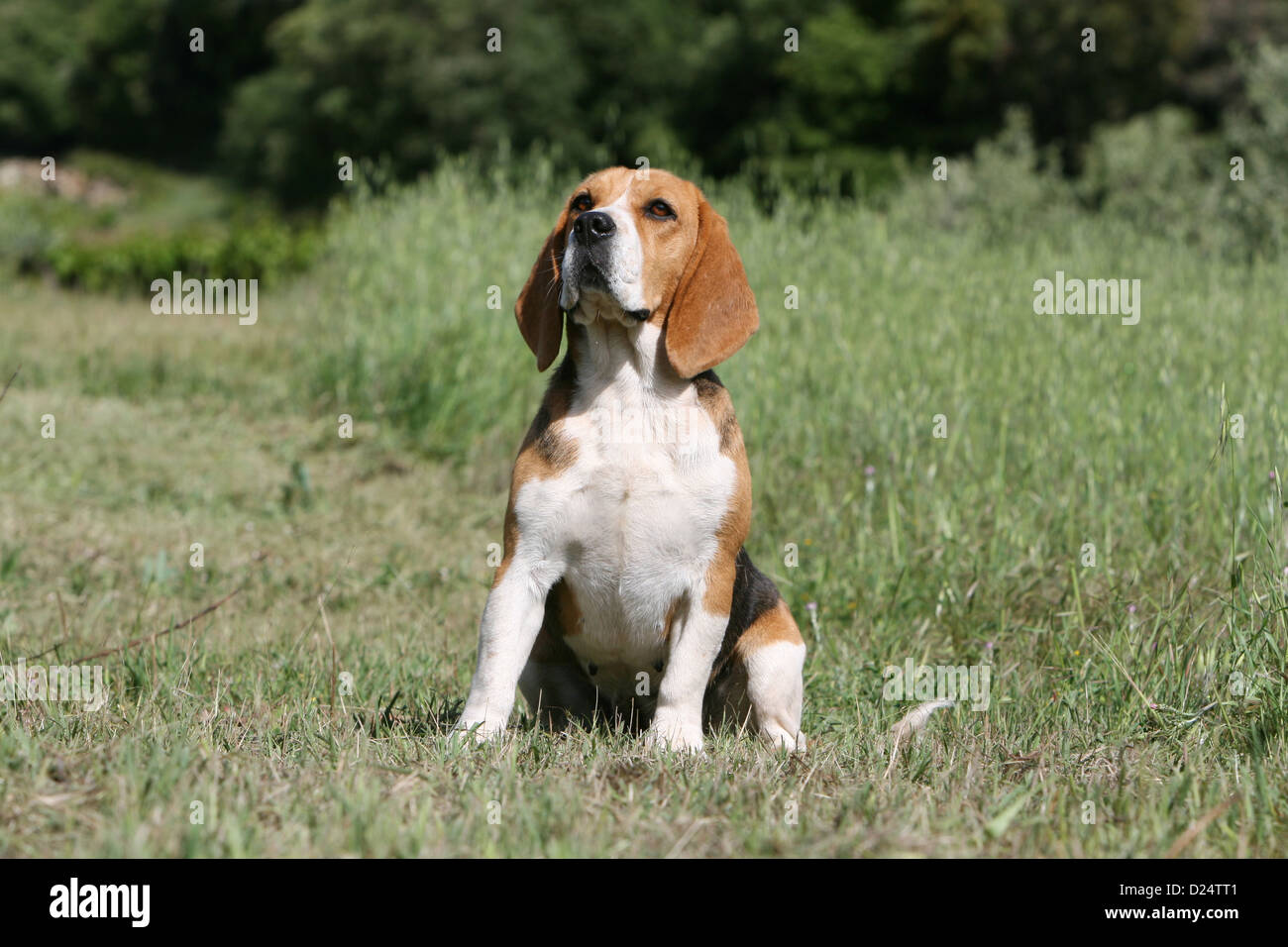 Adults sitting hi-res stock photography and images - Alamy