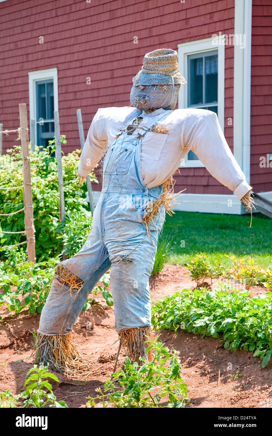 Stuffed scarecrow hi-res stock photography and images - Alamy