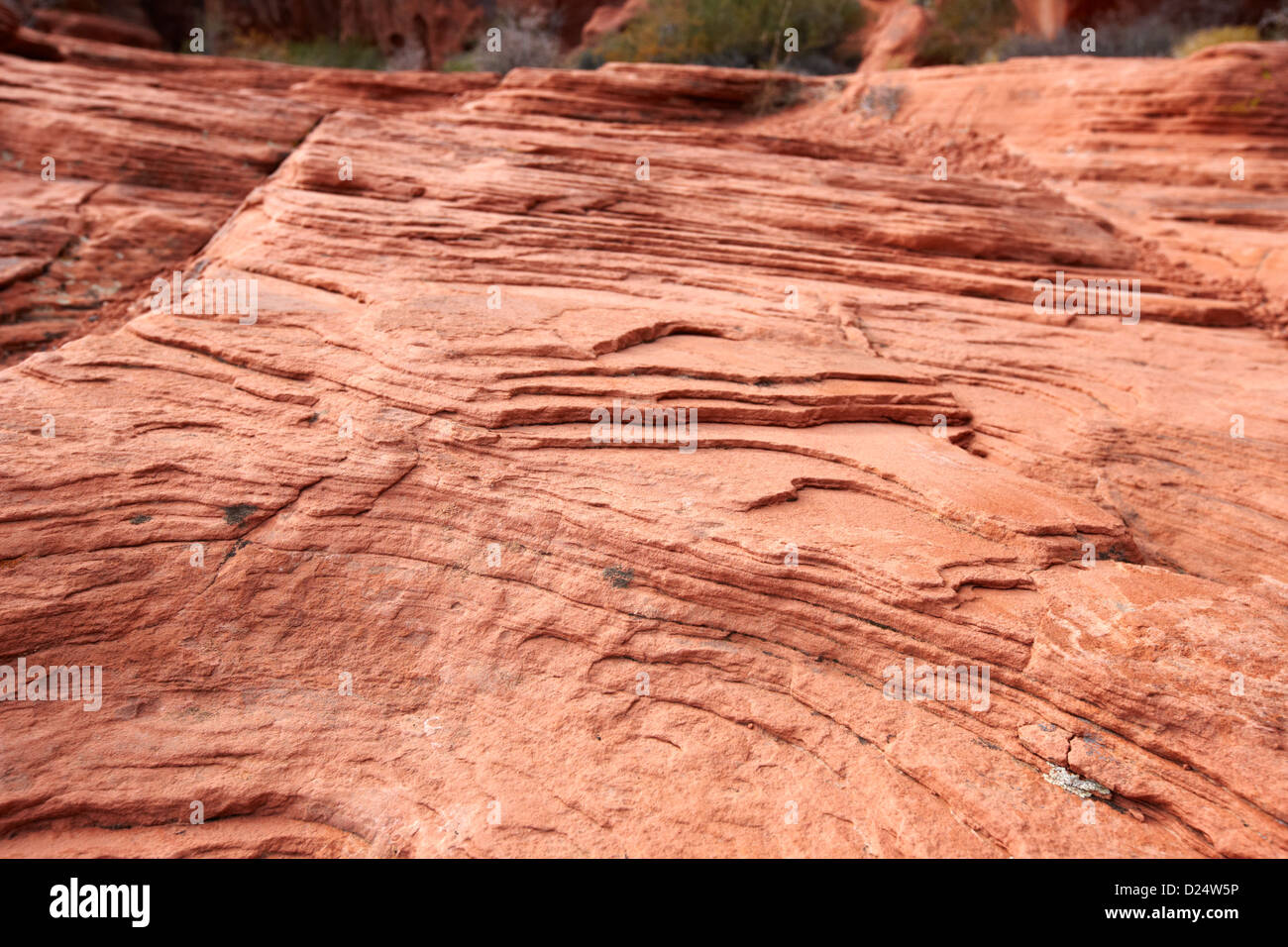 different layers of sandstone rock strata eroded in valley of fire ...