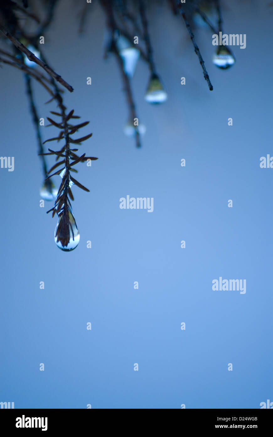 Water drop picture hi-res stock photography and images - Alamy