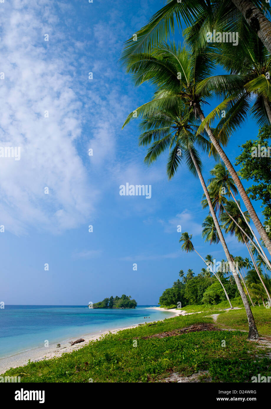 Papua new guinea beach not raja hi-res stock photography and images - Alamy