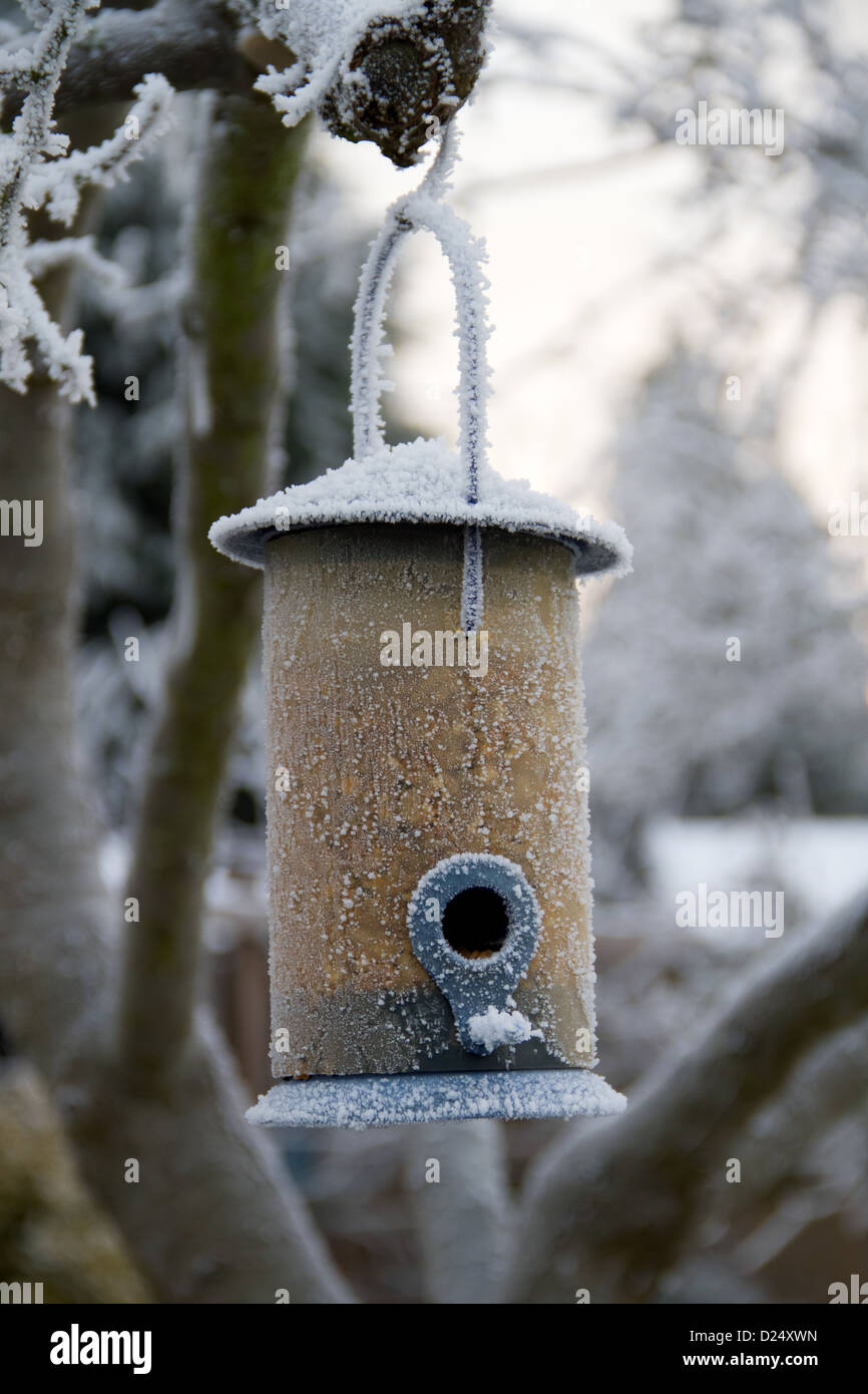 Nuts bird feeder garden hi-res stock photography and images - Alamy