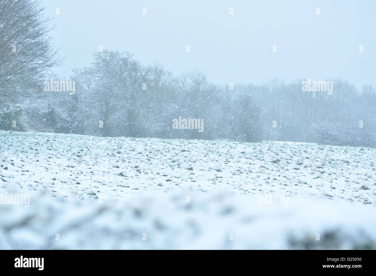 A Snowy Scene Stock Photo - Alamy
