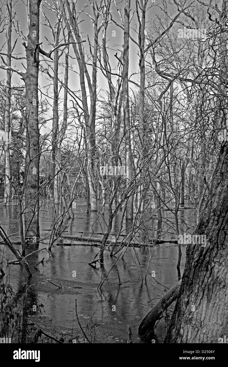 Flood countryside hi-res stock photography and images - Alamy