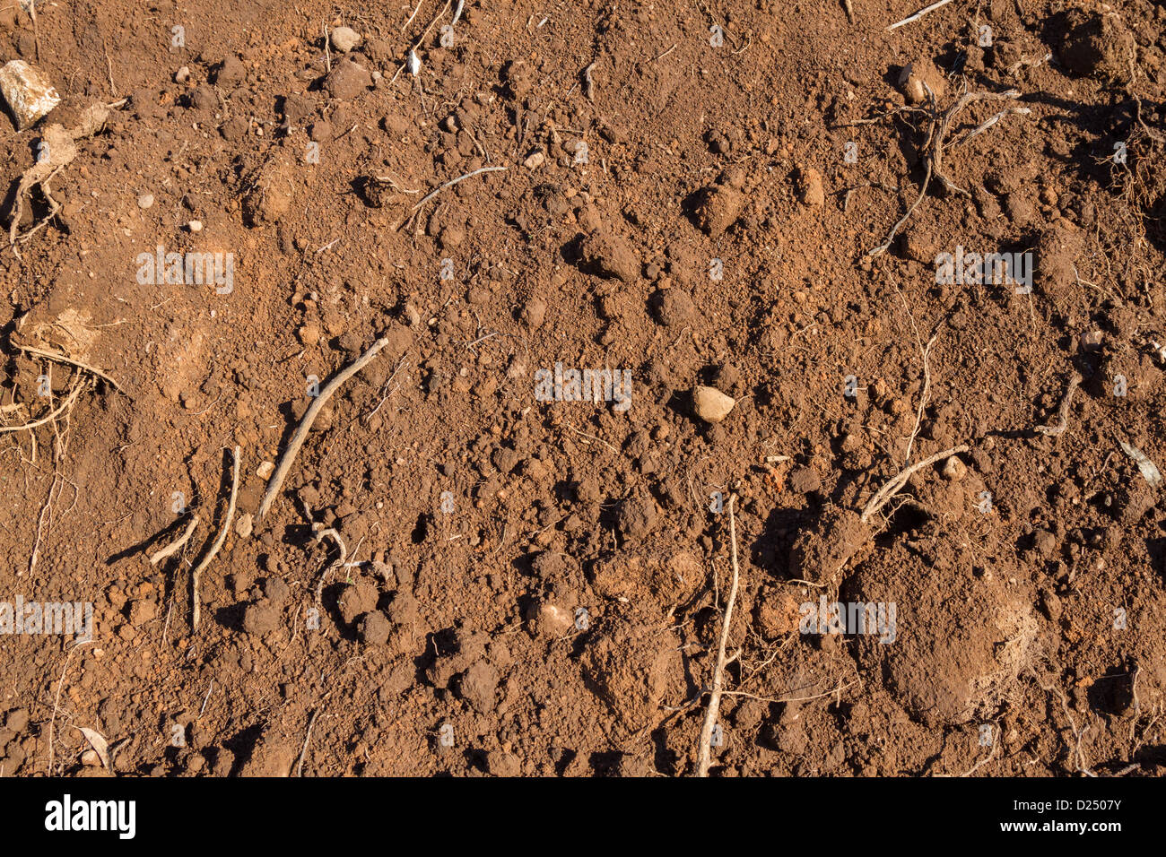 Dusty soil hi-res stock photography and images - Alamy