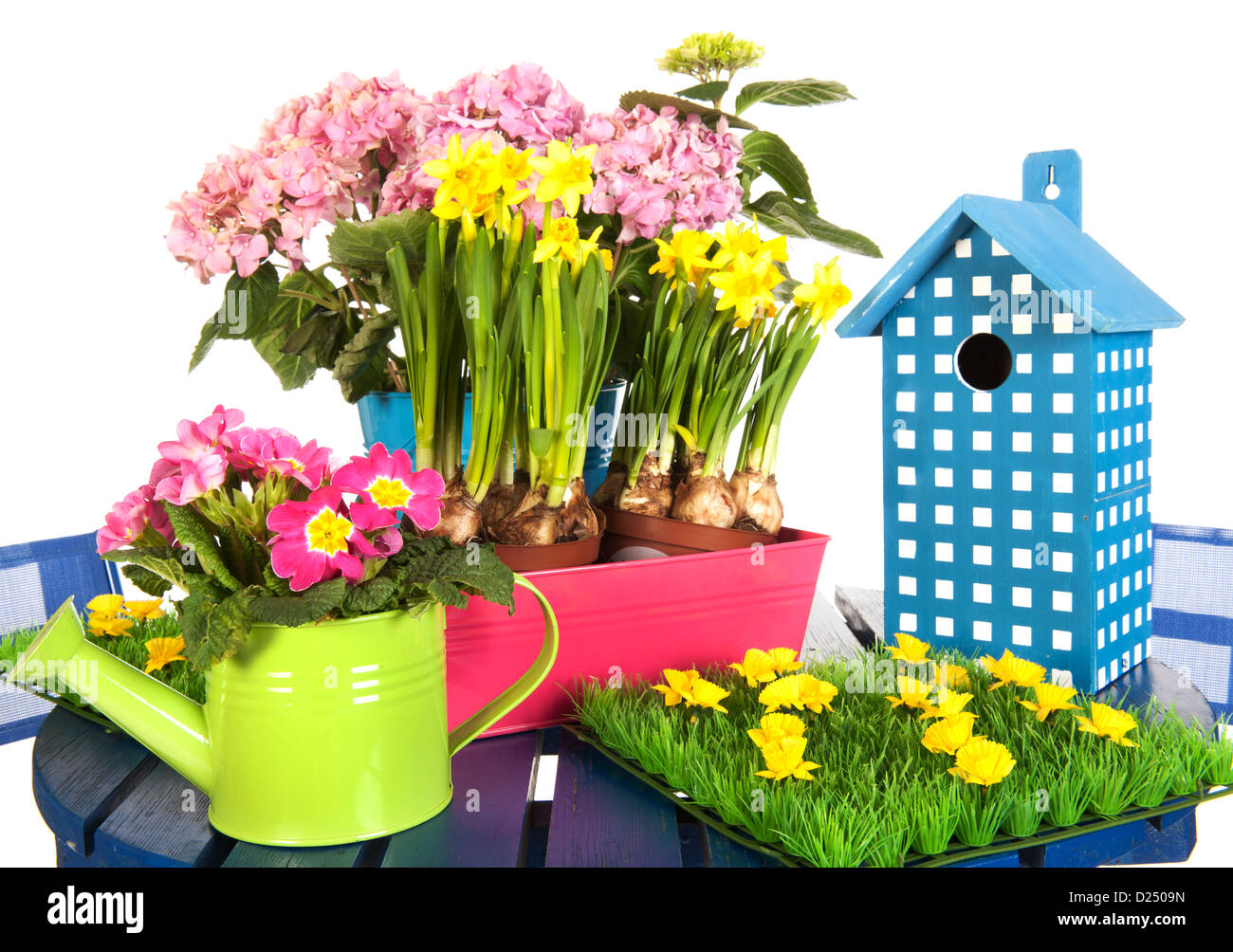 Garden terrace with flowers in spring Stock Photo - Alamy