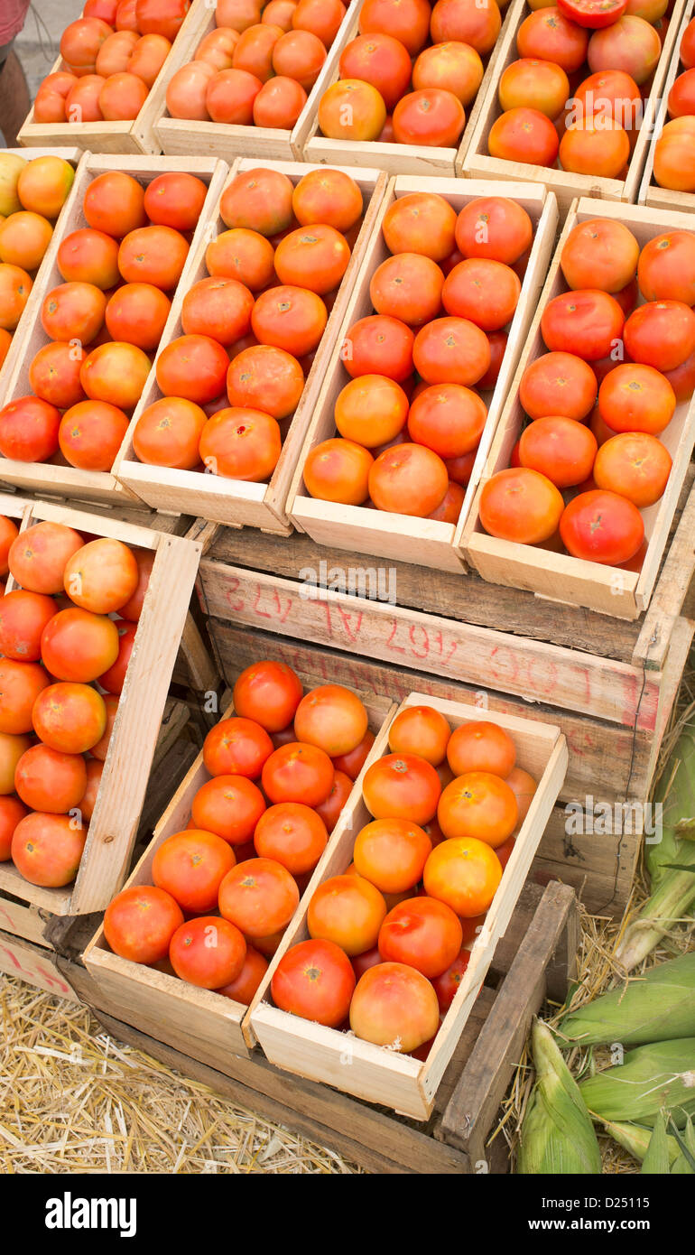 boxes of tomatoes, ripe and tasty fruits and vegetables at fair Stock ...