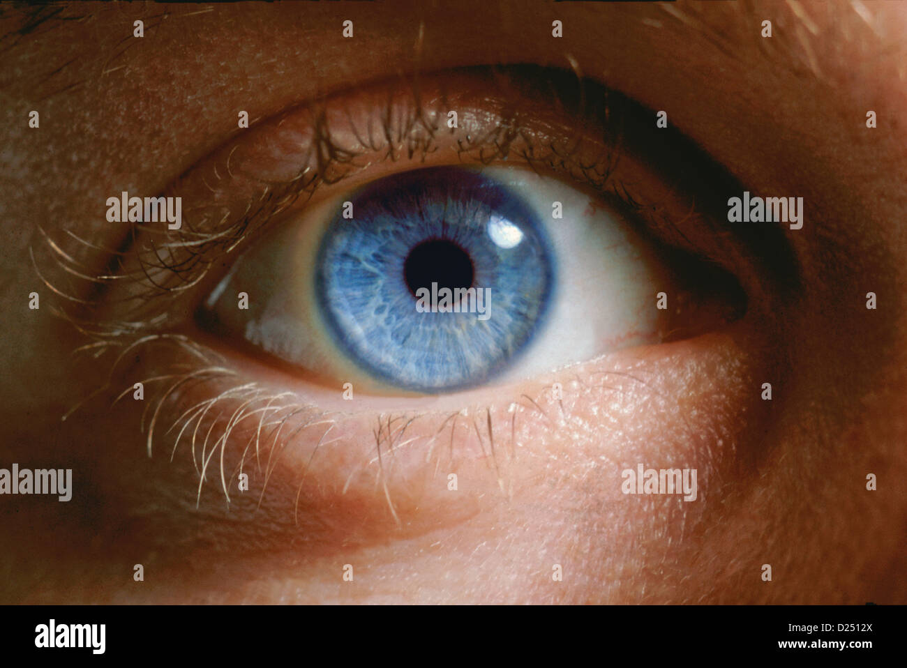 Close Up of of blue eye Stock Photo - Alamy