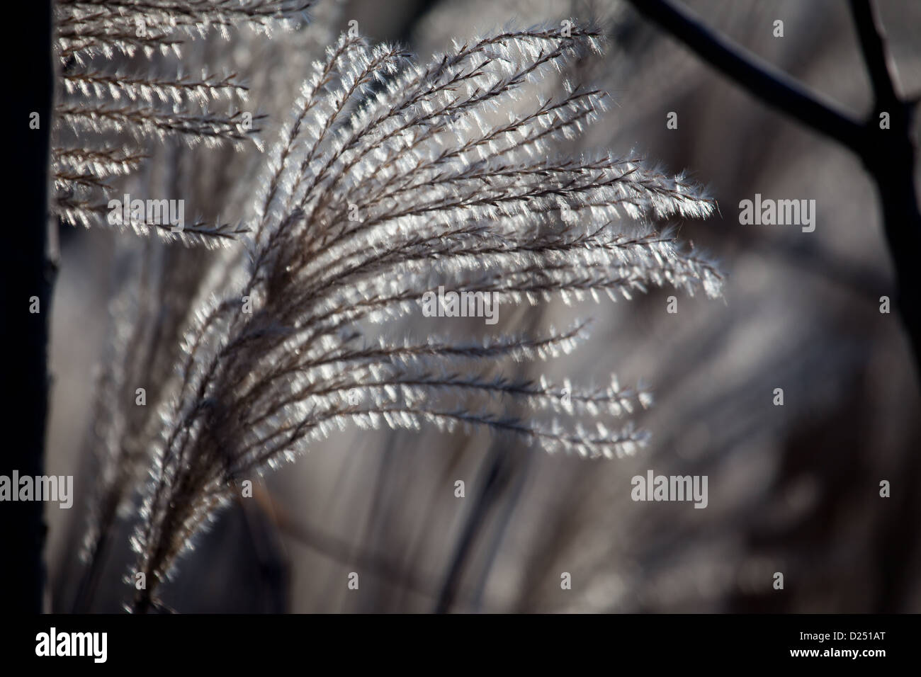 Abstraction hi-res stock photography and images - Alamy