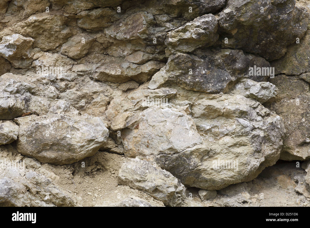 Silurian limestone in quarry, showing reef formation, Wenlock Edge ...