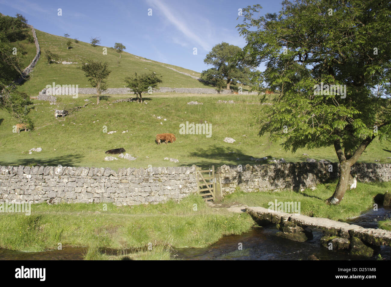 View stream with bridge drystone wall with gate pasture with grazing ...