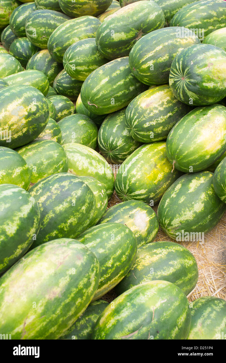 Watermelons fruit hi-res stock photography and images - Alamy