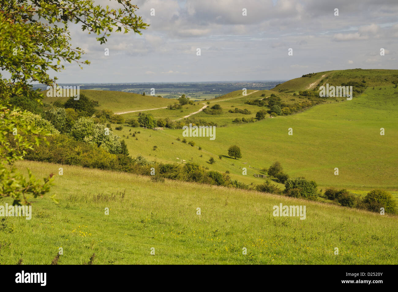 Ridgeway path chiltern hills hi-res stock photography and images - Alamy