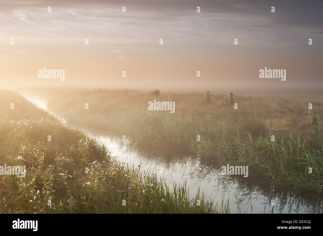 Atmospheric north kent marshes hi-res stock photography and images - Alamy