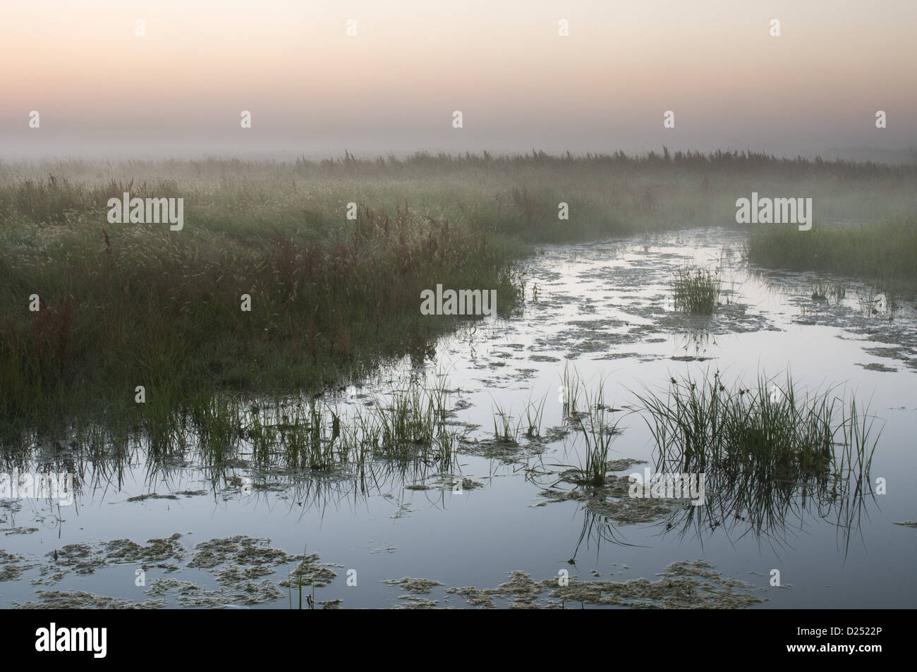 Freshwater grazing marsh High Resolution Stock Photography and Images ...