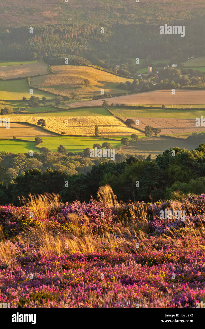 Mary heather hi-res stock photography and images - Alamy