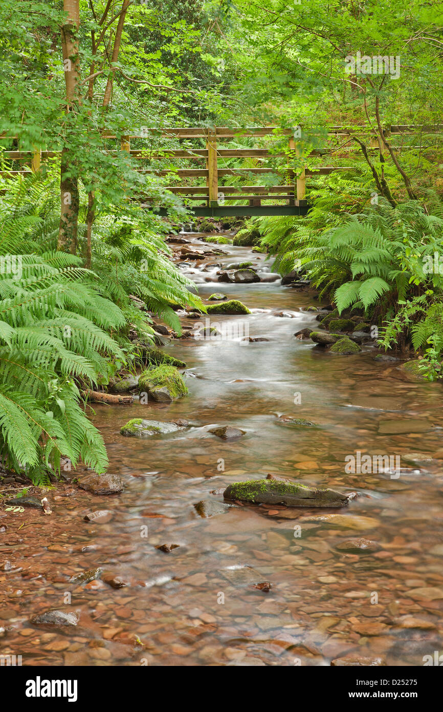 Rivers in exmoor national park hi-res stock photography and images - Alamy