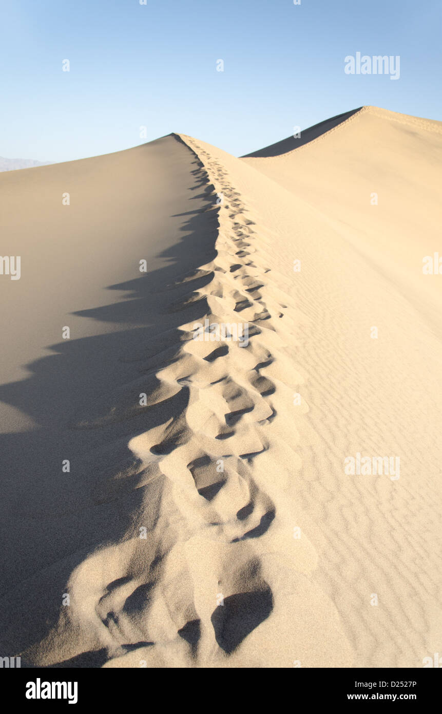 desert sand dune with trail of footsteps Stock Photo - Alamy