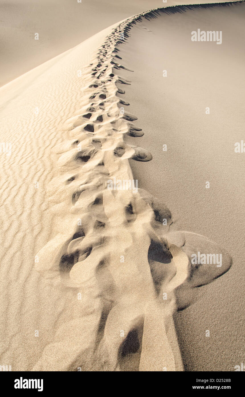 desert sand dune with trail of footsteps Stock Photo - Alamy