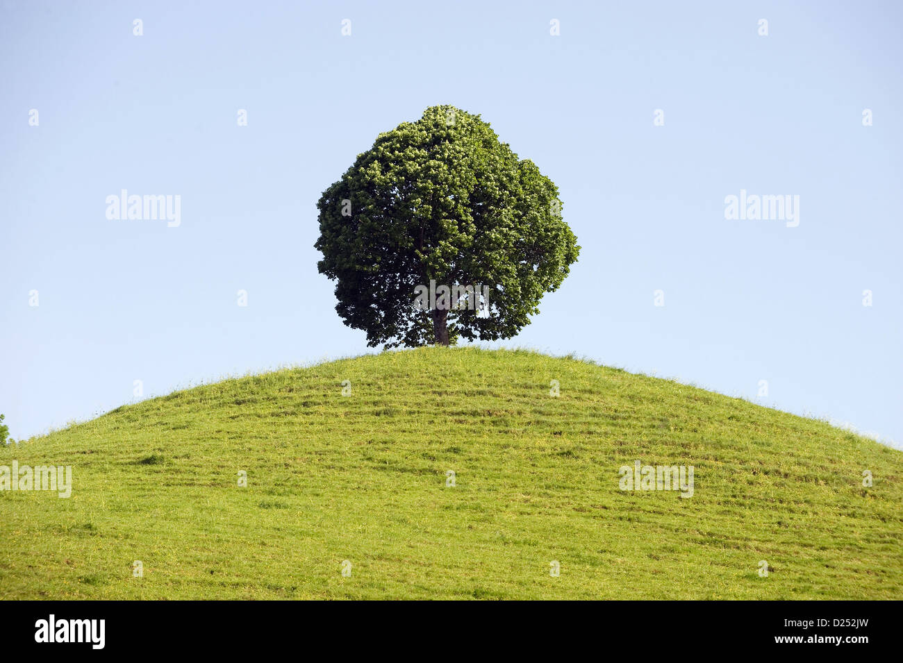 Klingnau hi-res stock photography and images - Alamy