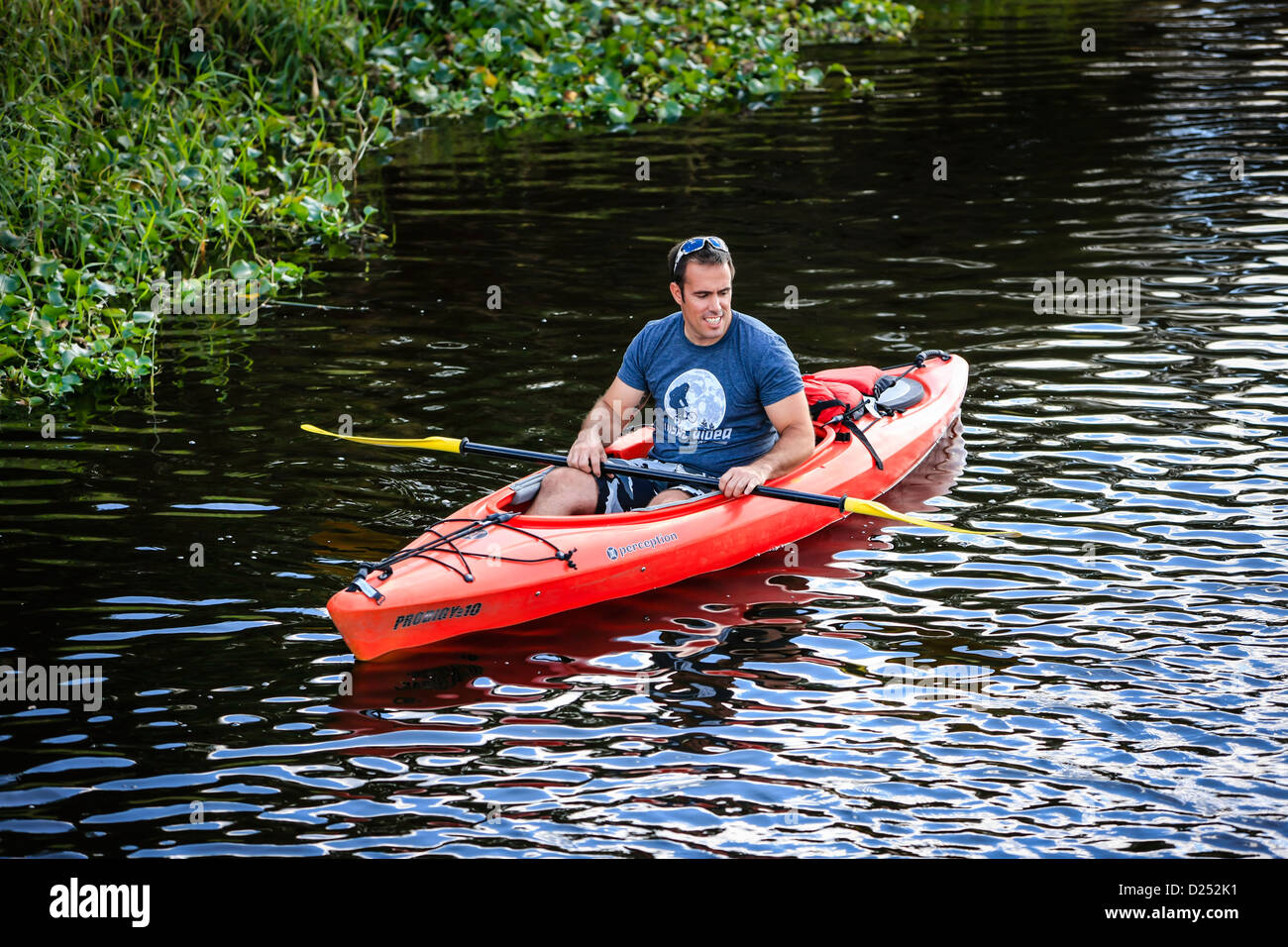 Single man kayaking on the Myakka River in Florida Stock Photo - Alamy