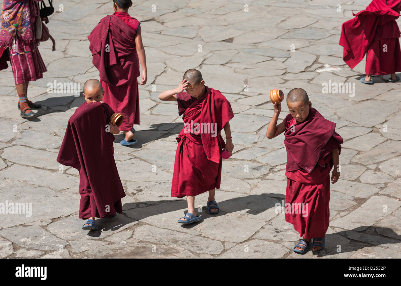 Monks in monastery in india hi-res stock photography and images - Alamy